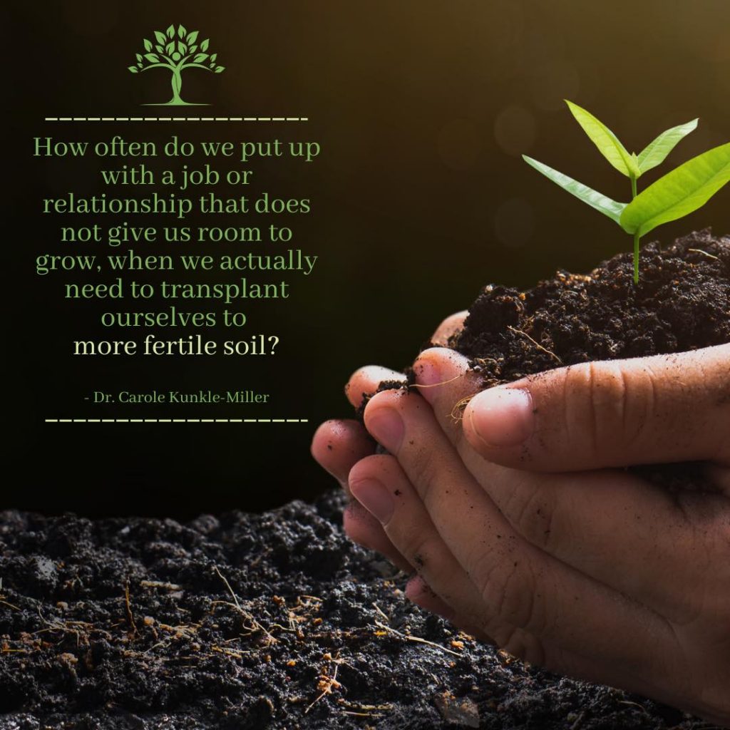 Choose an Environment That Allows You Room to Flourish - Carole Kunkle ...